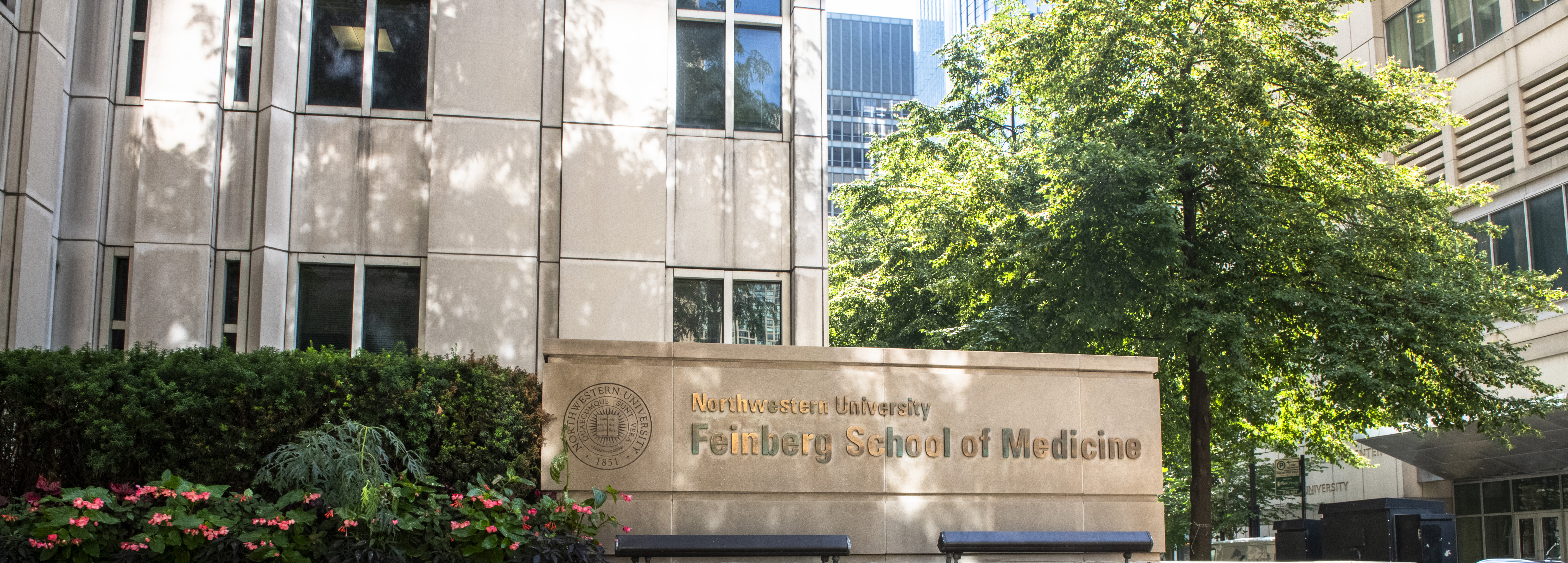 Contact Us: Ito Lab: Feinberg School of Medicine