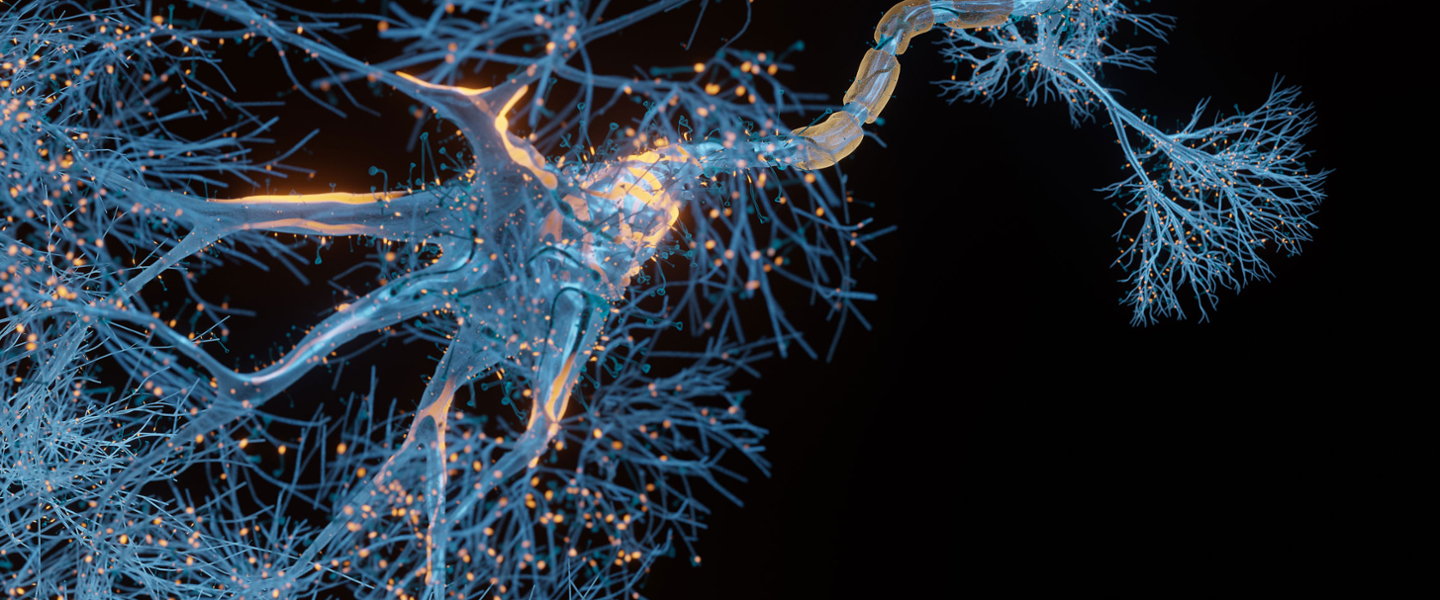 Home: John Disterhoft Lab: Feinberg School of Medicine