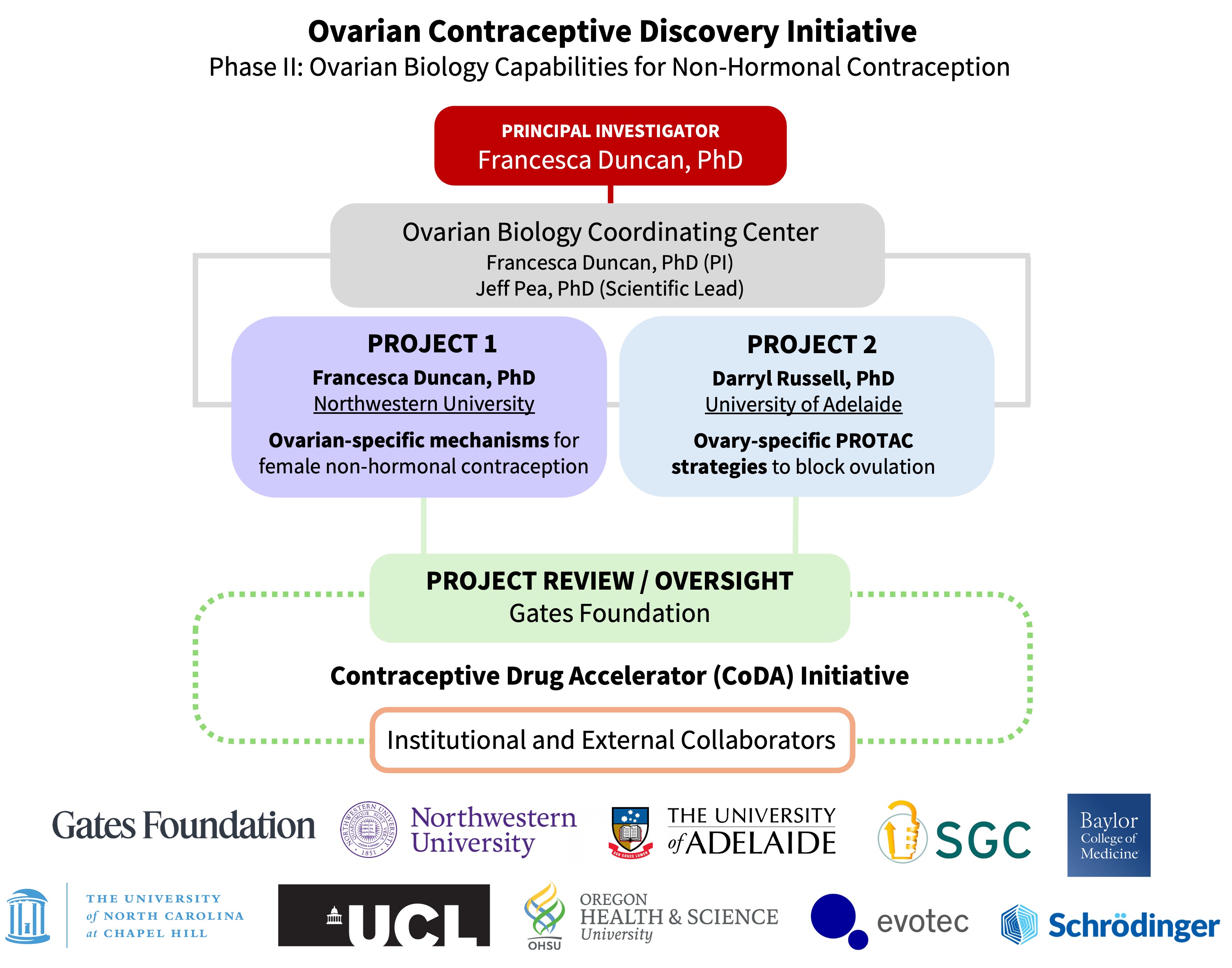 The Ovarian Contraceptive Discovery Initiative: Duncan Lab: Feinberg ...
