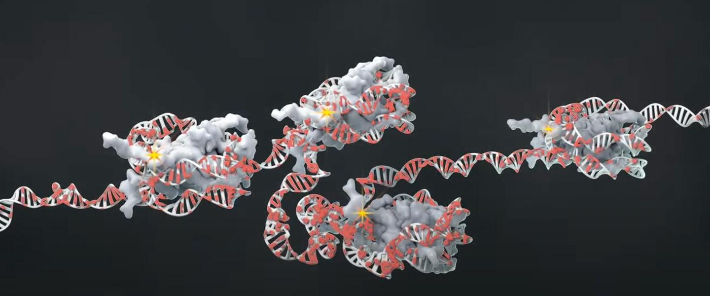 Epigenetic Modifiers: Shilatifard Laboratory: Feinberg School of ...